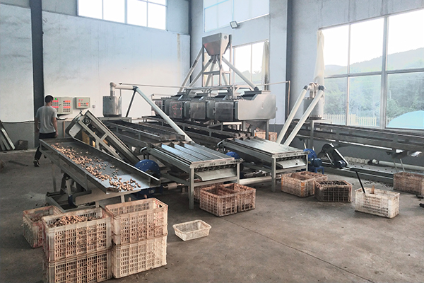 Turnkey raw cashew nut processing line from A to Z -- Zhengzhou Gashili ... Turnkey raw cashew nut processing line from A to Z -- Zhengzhou Gashili ...